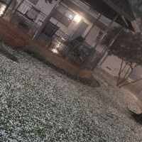 PDR LINX – your hail repair specialists